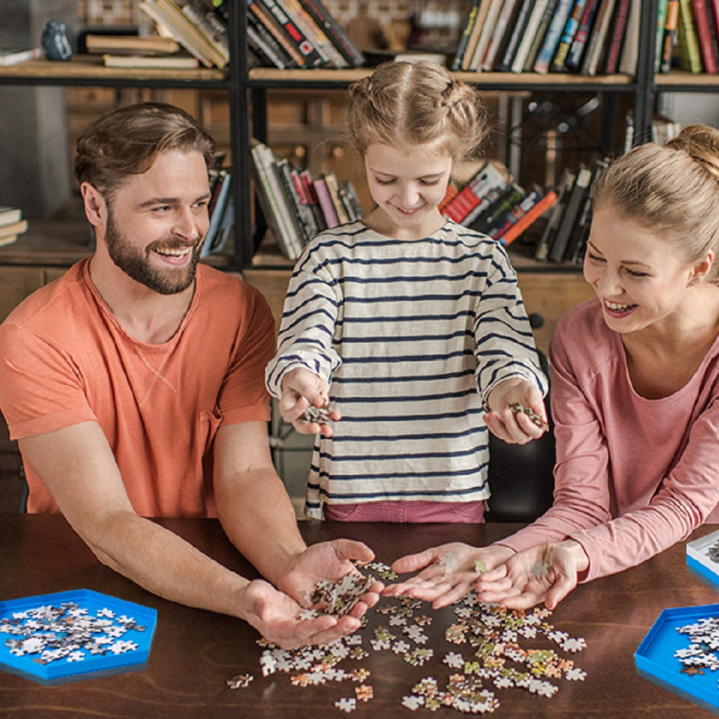 Puzzle Sorting Trays: The Ultimate Guide to Organizing Your Puzzle Pie ...